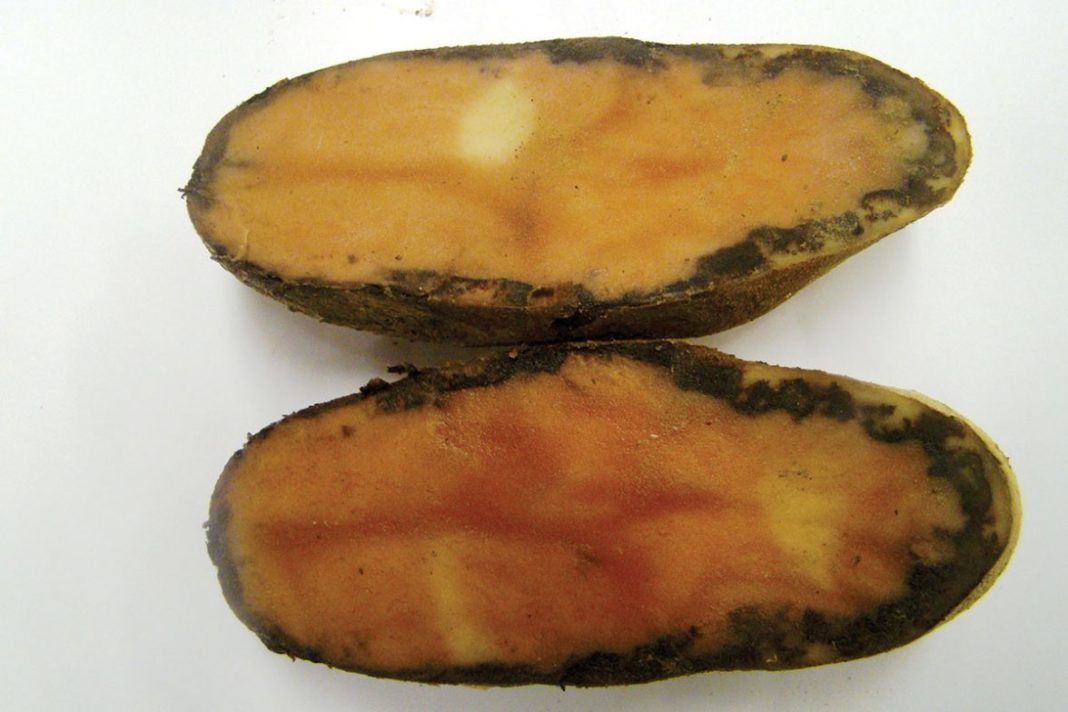 Know Your Enemies - Spud Smart