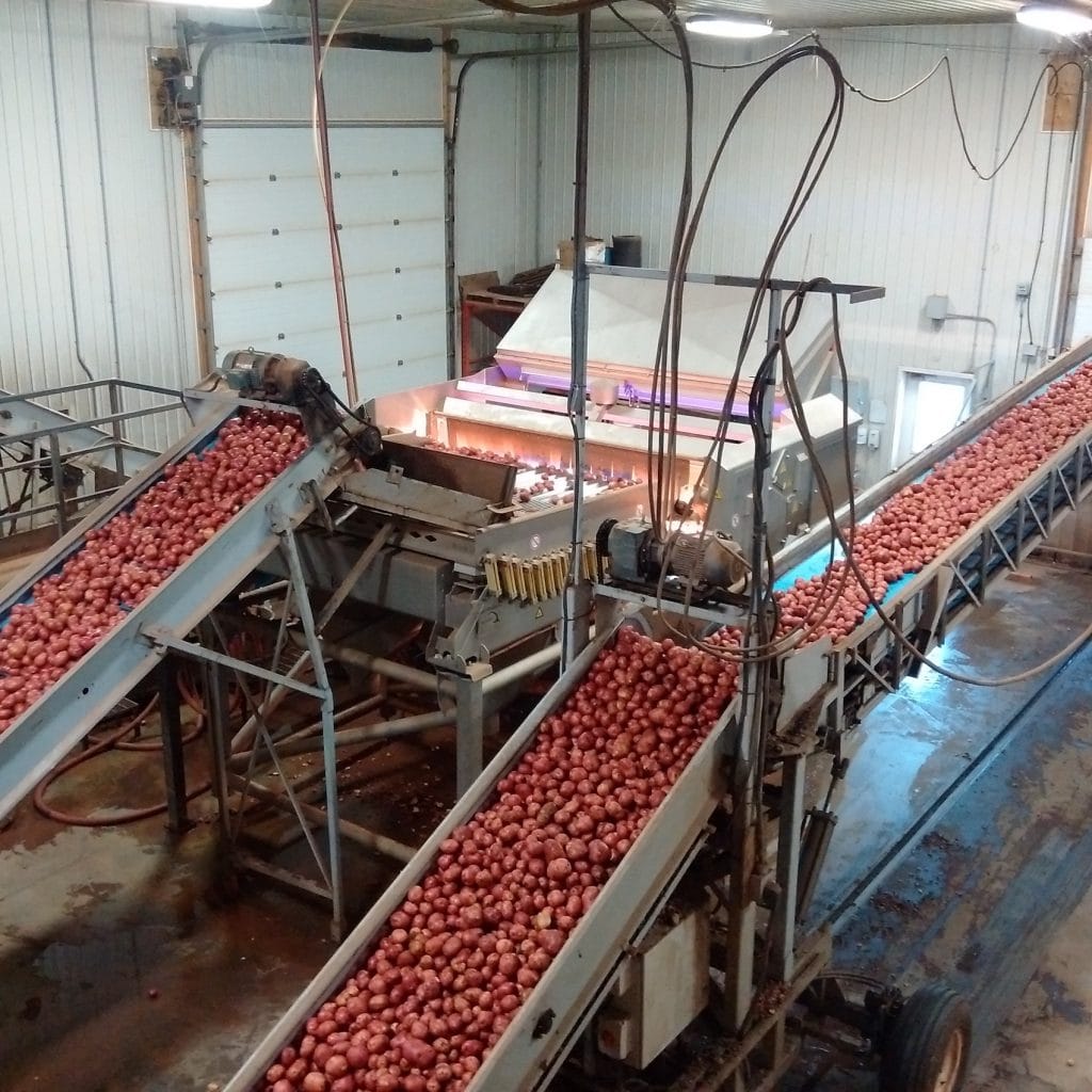 Top Grade - Spud Smart