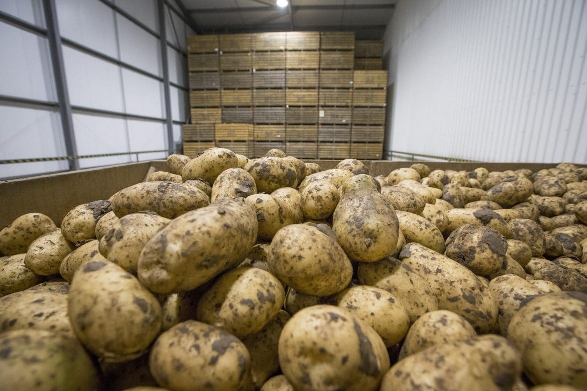 Potato Store loading - Spud Smart