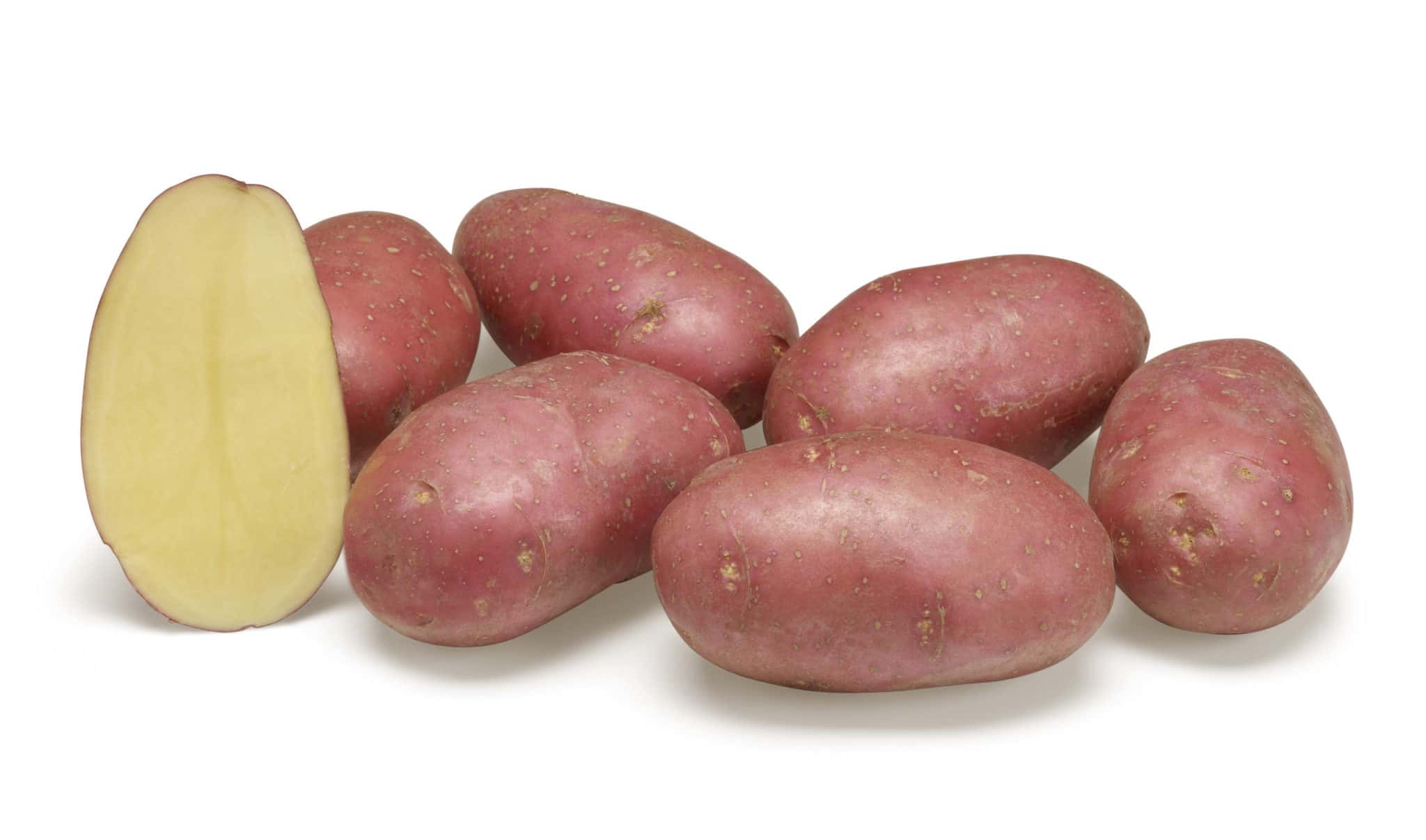 New European Potato Varieties — Alouette and Cayman