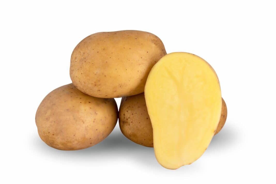 New Potato Varieties Available in Canada for 2023