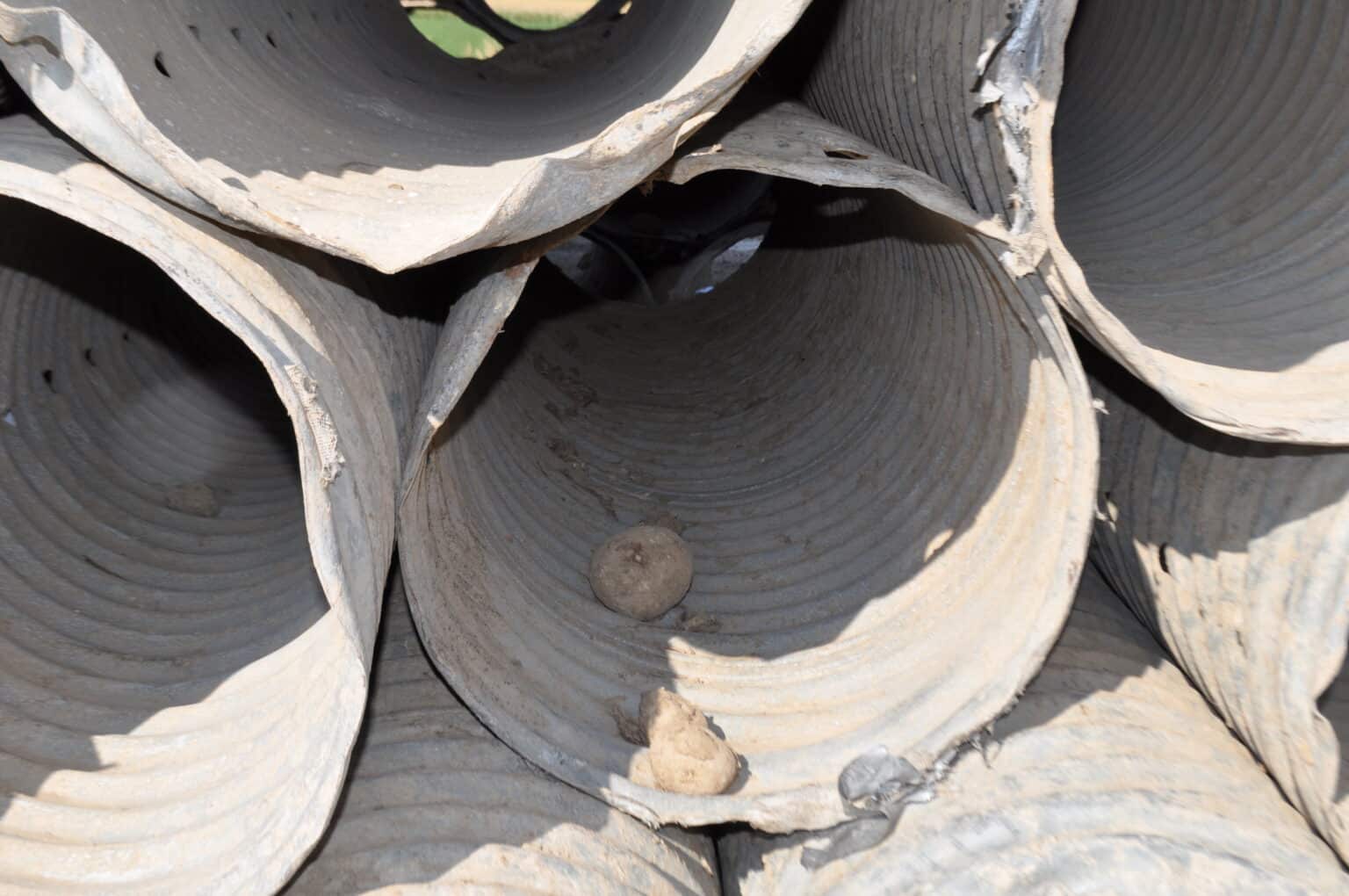 The Importance of Sanitizing Your Spud Storage (and Equipment)