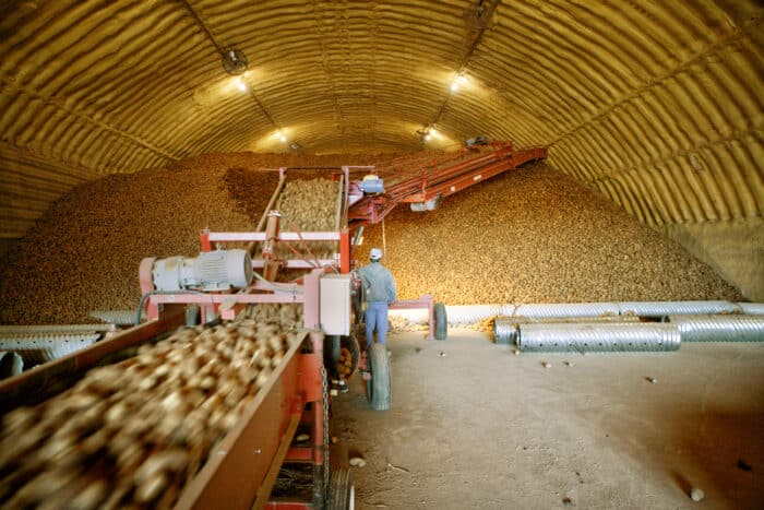 Cellar Insights is Solving the Potato Storage Blindspot