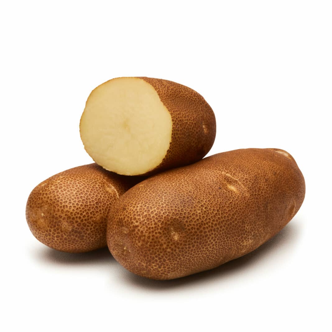 2024 New Potato Varieties Catalogue for Canada - Spud Smart