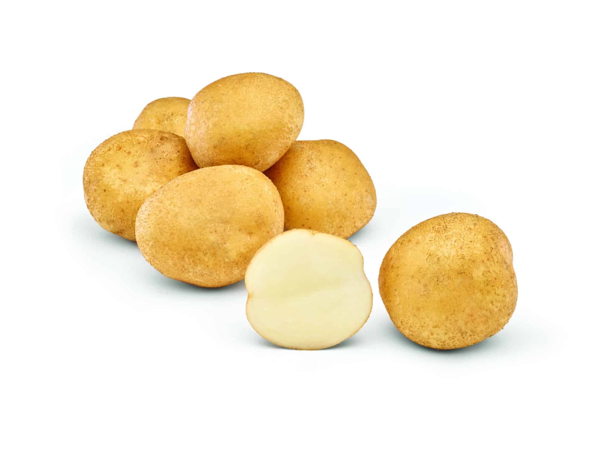 2024 New Potato Varieties Catalogue for Canada - Spud Smart